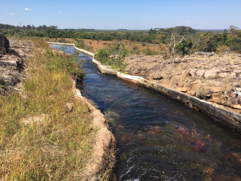 Zambia Mafinga Hills - Rainforest Coffee - Green Bean Roasters - Melbourne