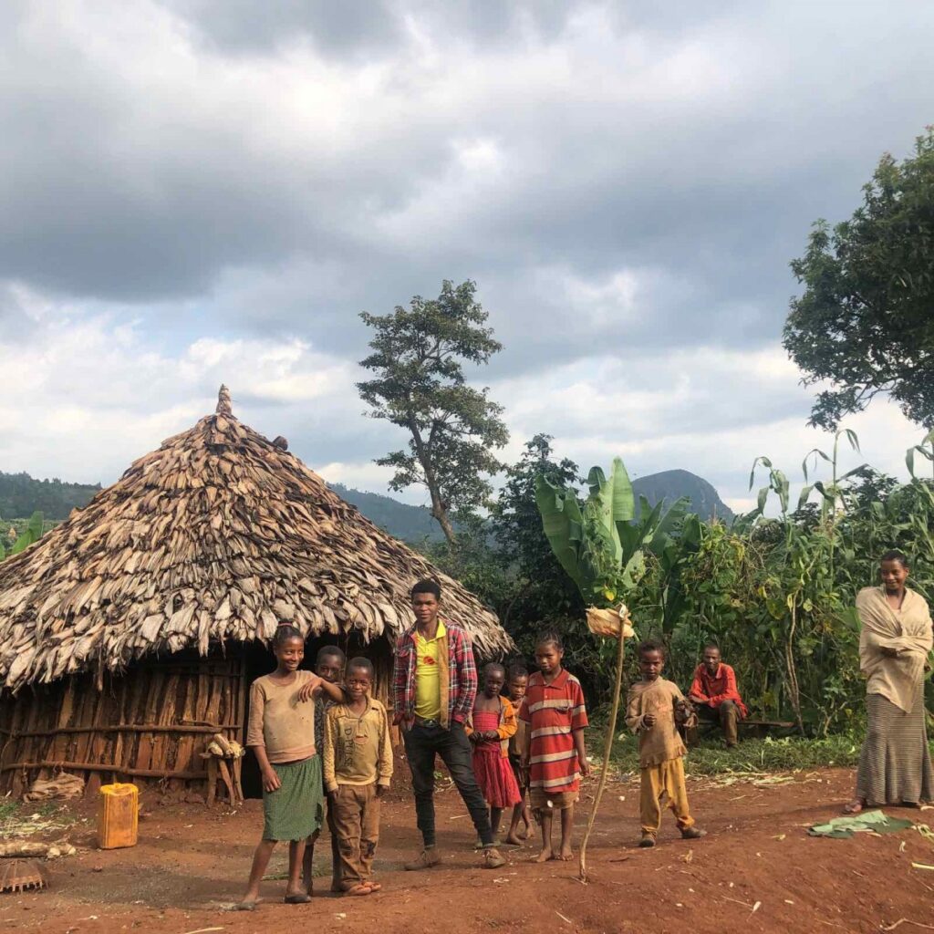 Green Bean Roasters the best Green Coffee Beans & Coffee Roasting Machines